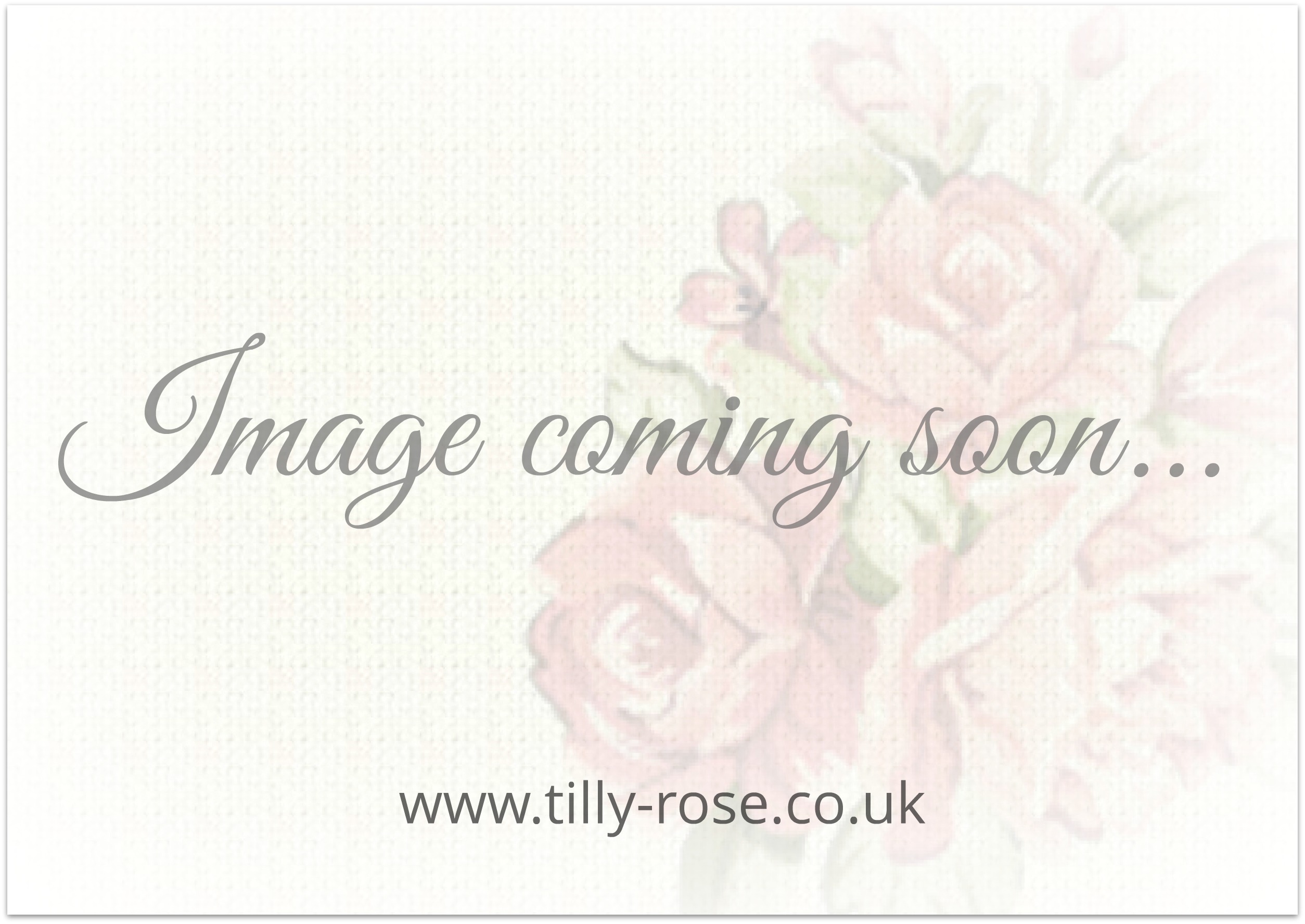 Tilly Rose Online Workshops